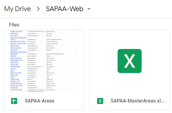 Site Statistics | SAPAA