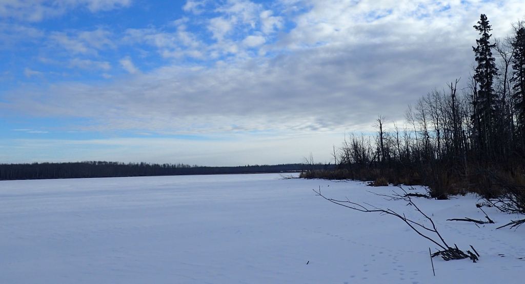 Newton Lake Natural Area | SAPAA