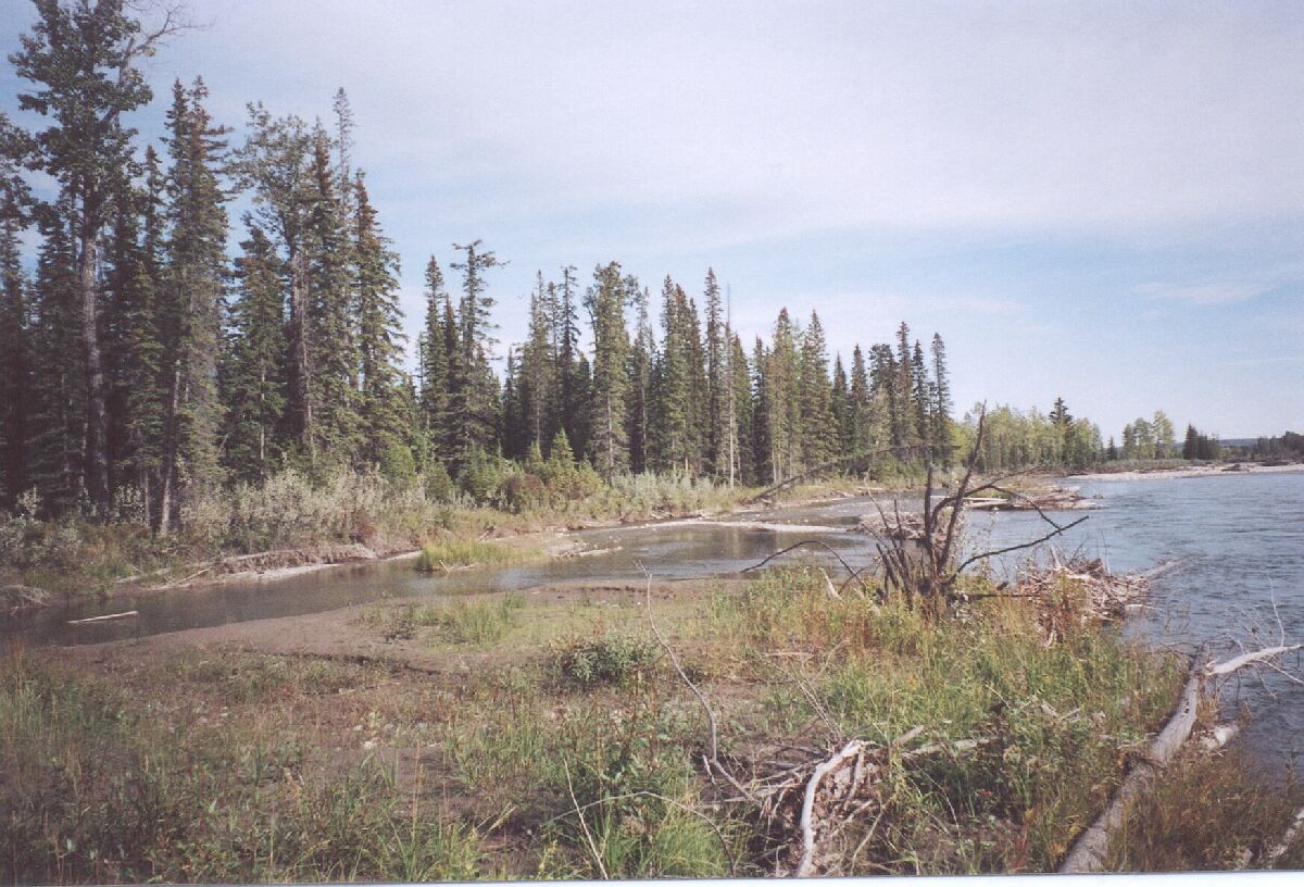 Bearberry Prairie Natural Area | SAPAA