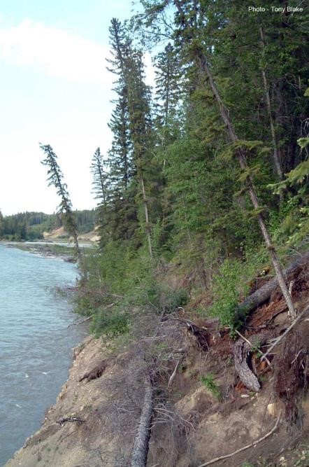 Clearwater Ricinus Natural Area | SAPAA