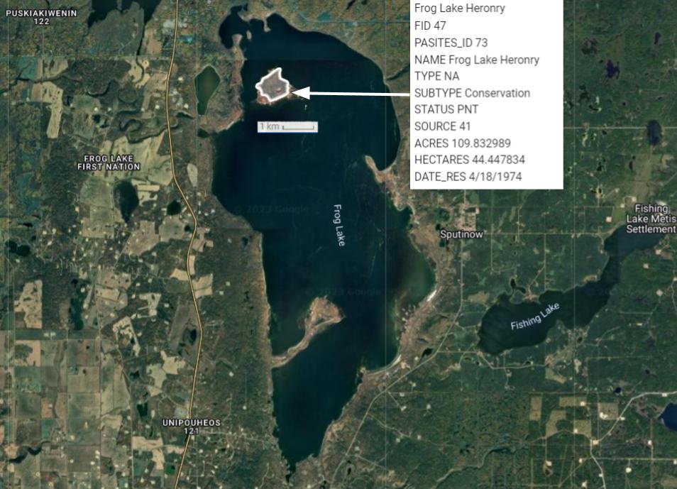 Frog Lake Heronry Natural Area (PNT) | SAPAA