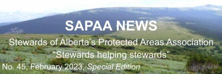 SAPAA Newsletter No. 45, February 2023 | SAPAA