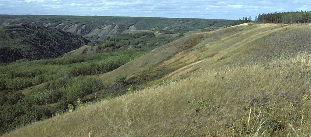 Silver Valley Ecological Reserve | SAPAA