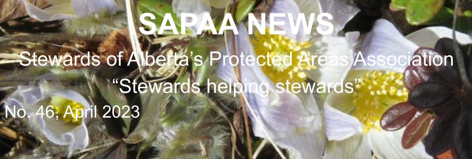 SAPAA Newsletter No. 46, April 2023 | SAPAA