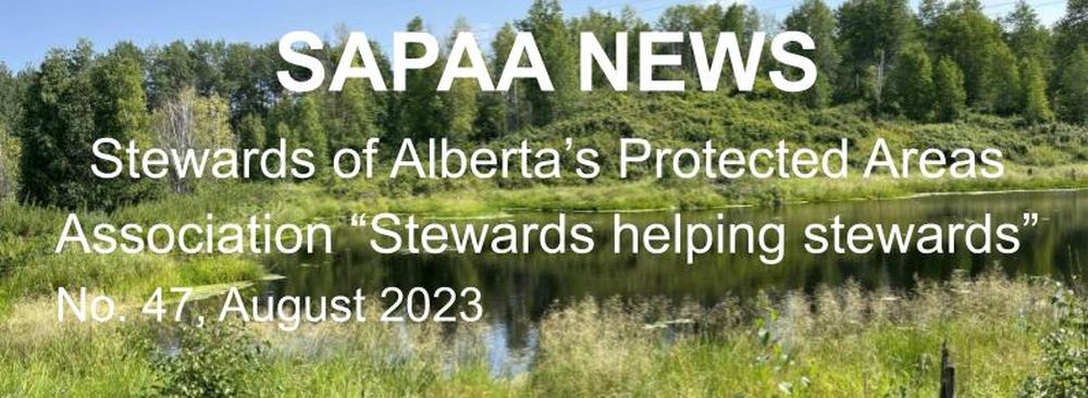 SAPAA Newsletter No. 47, August 2023 | SAPAA