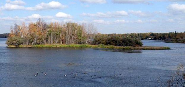 Antler Lake Island Natural Area | SAPAA
