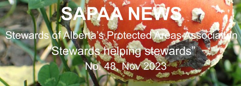 SAPAA Newsletter No. 48, October 2023 | SAPAA