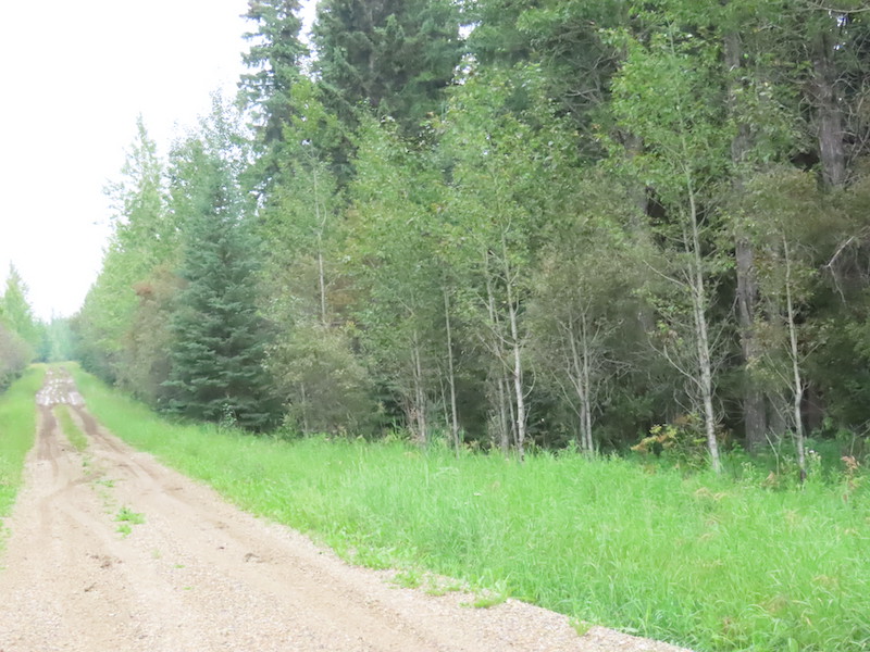 2023-08-09: Welch Creek NA | SAPAA