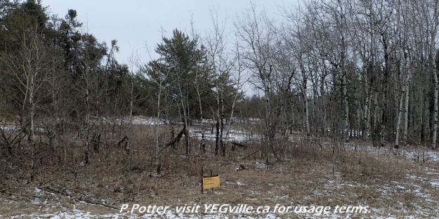 2024-03-29: Redwater River Natural Area | SAPAA
