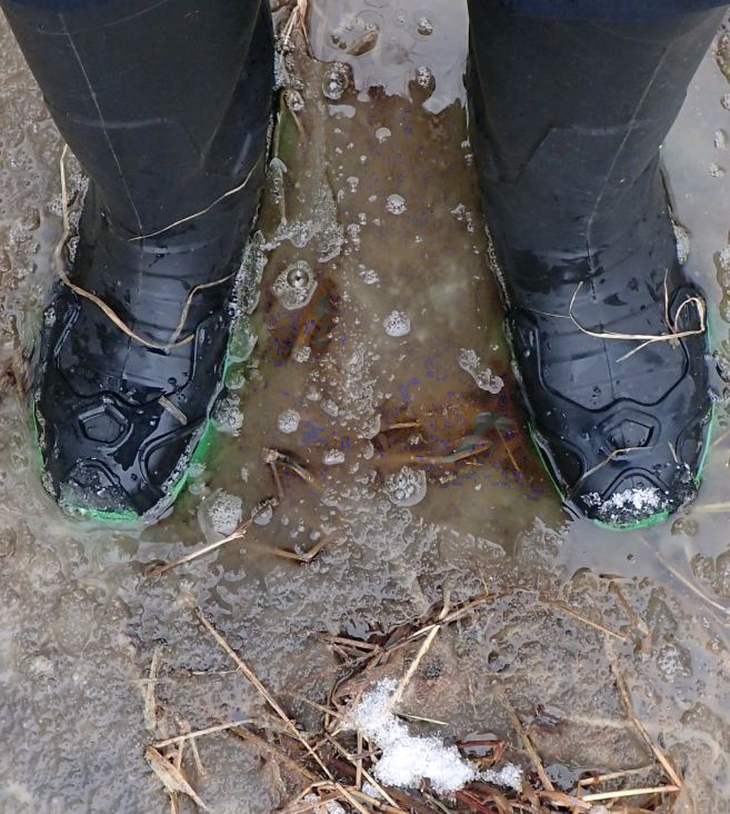 2024-04-14: SAPAA & UofA Field Trip | SAPAA