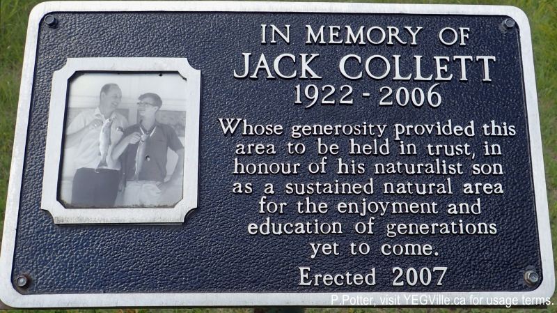 2024-08-24: JJ Collett NA – SAPAA Field Trip | SAPAA