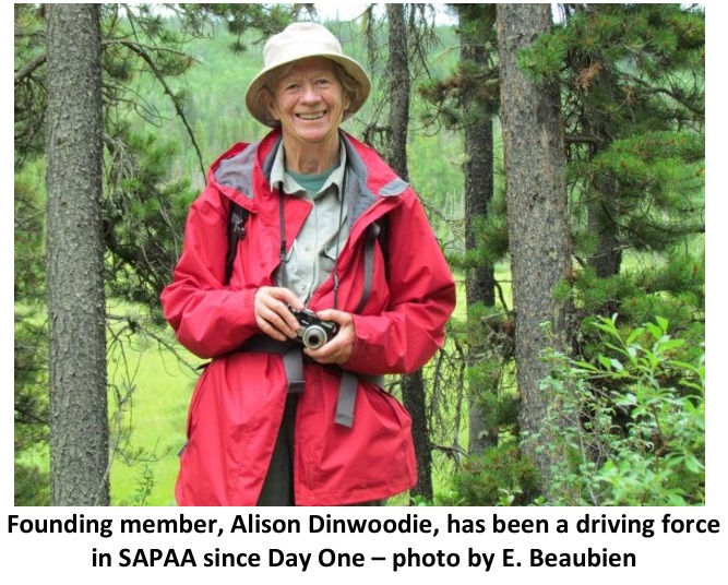 Alison Dinwoodie 1932-2024 | SAPAA