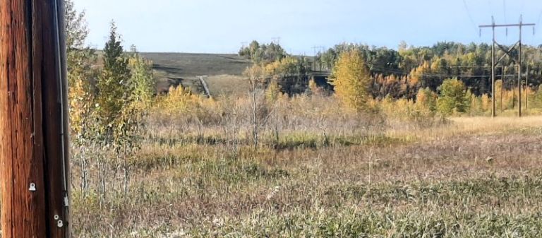 Snakes Head Natural Area | SAPAA