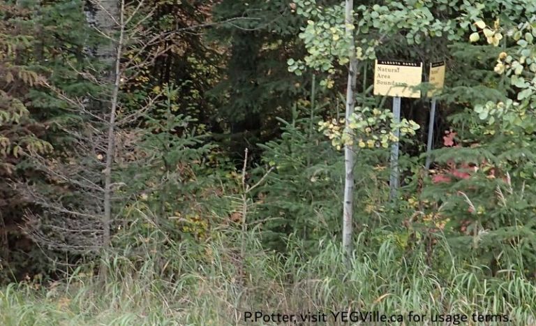 Battle Lake Natural Area | SAPAA