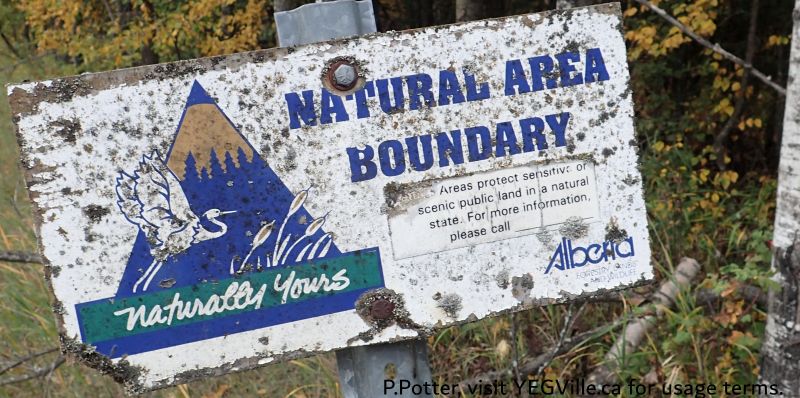 Battle Lake Natural Area | SAPAA
