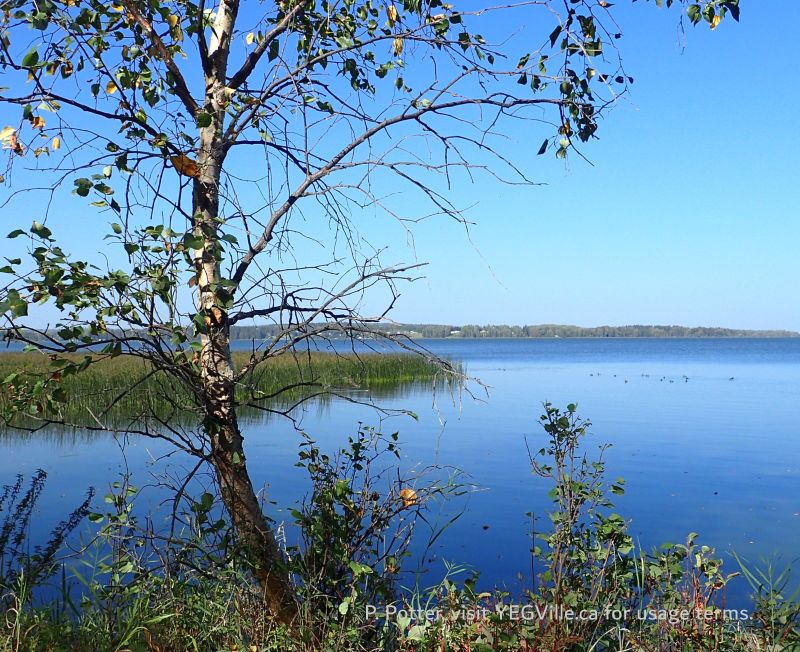 Buck Lake Natural Area | SAPAA